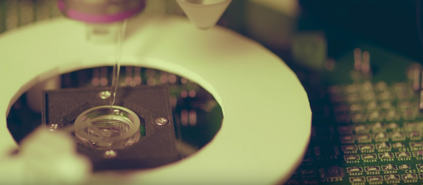 Will a chip reverse blindness? | Columbia Giving